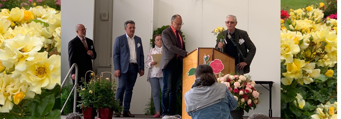 ROSE TRIAL Bagatelle 2019 - NIRP