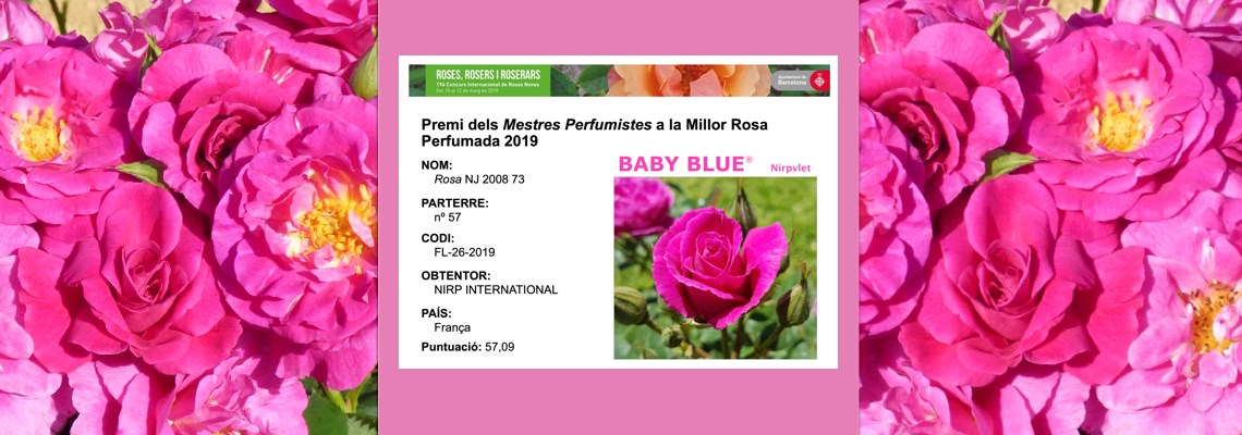 ROSE TRIAL Barcelona 2019 - NIRP