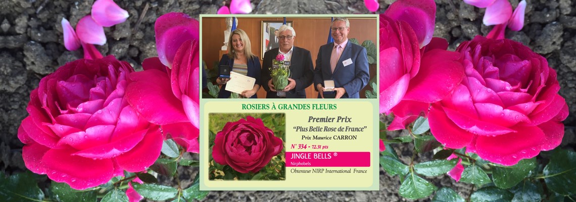 ROSE TRIAL Lyon 2019 - NIRP